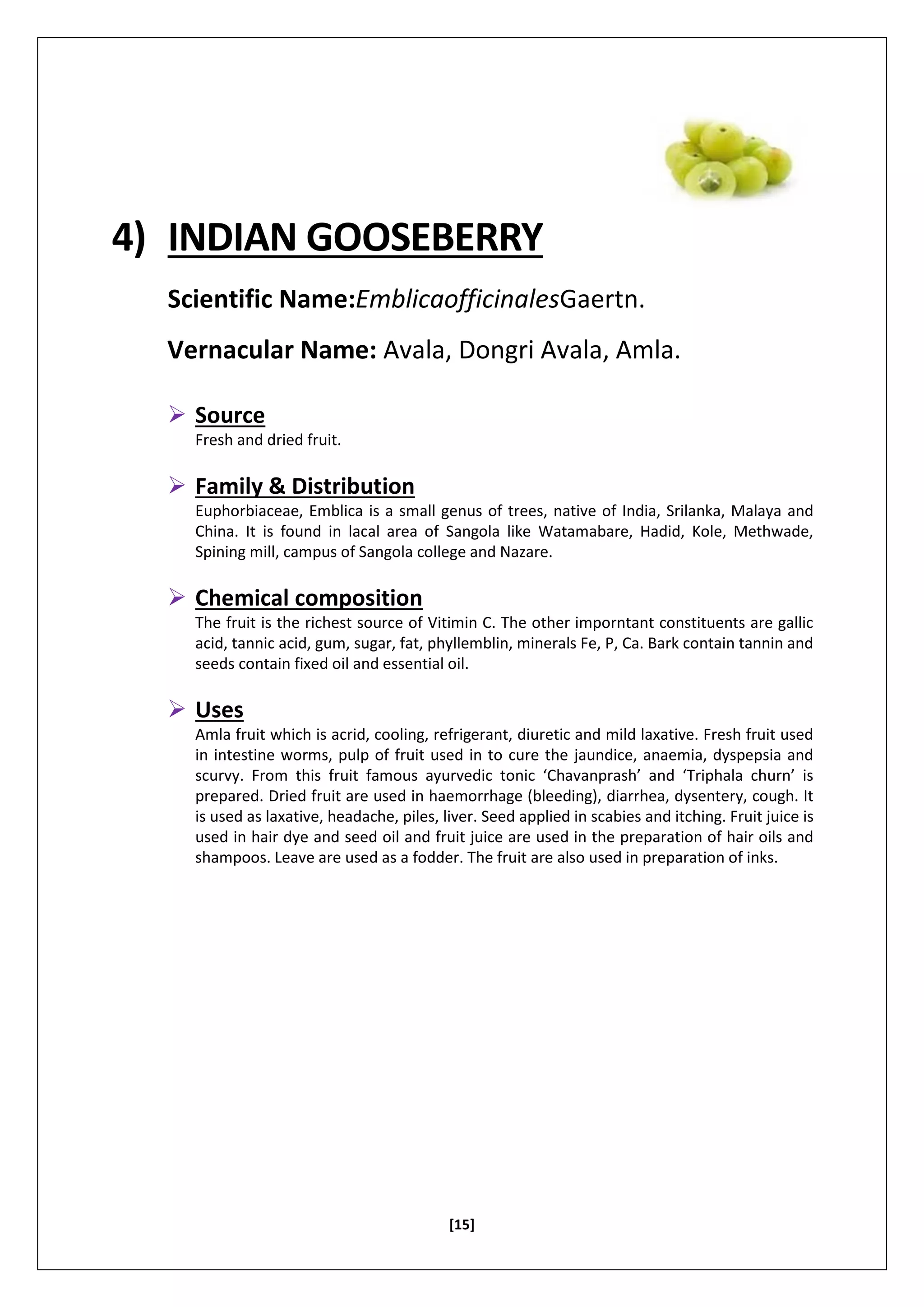 evs project on study of birds,insects and plants | PDF