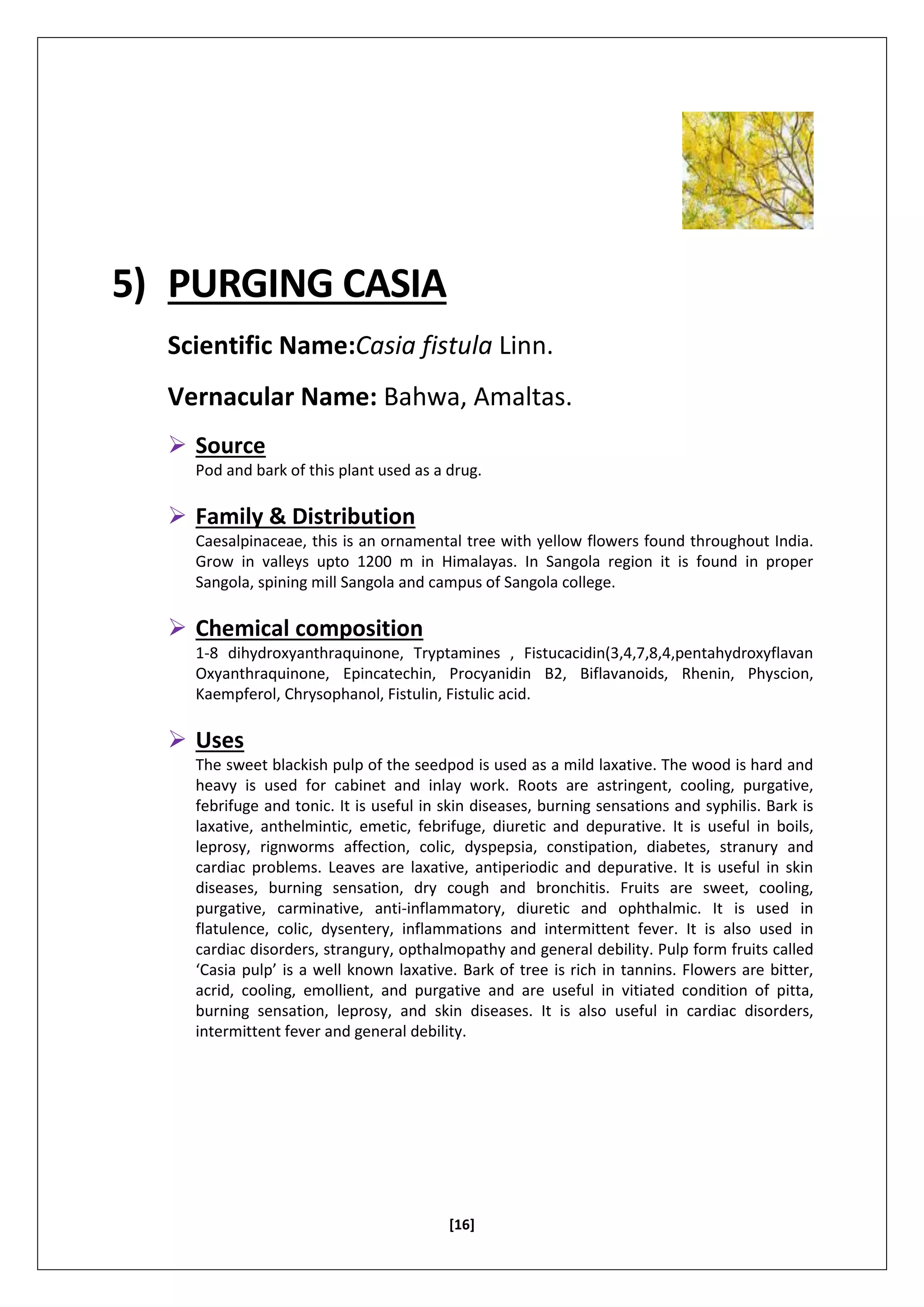 evs project on study of birds,insects and plants | PDF