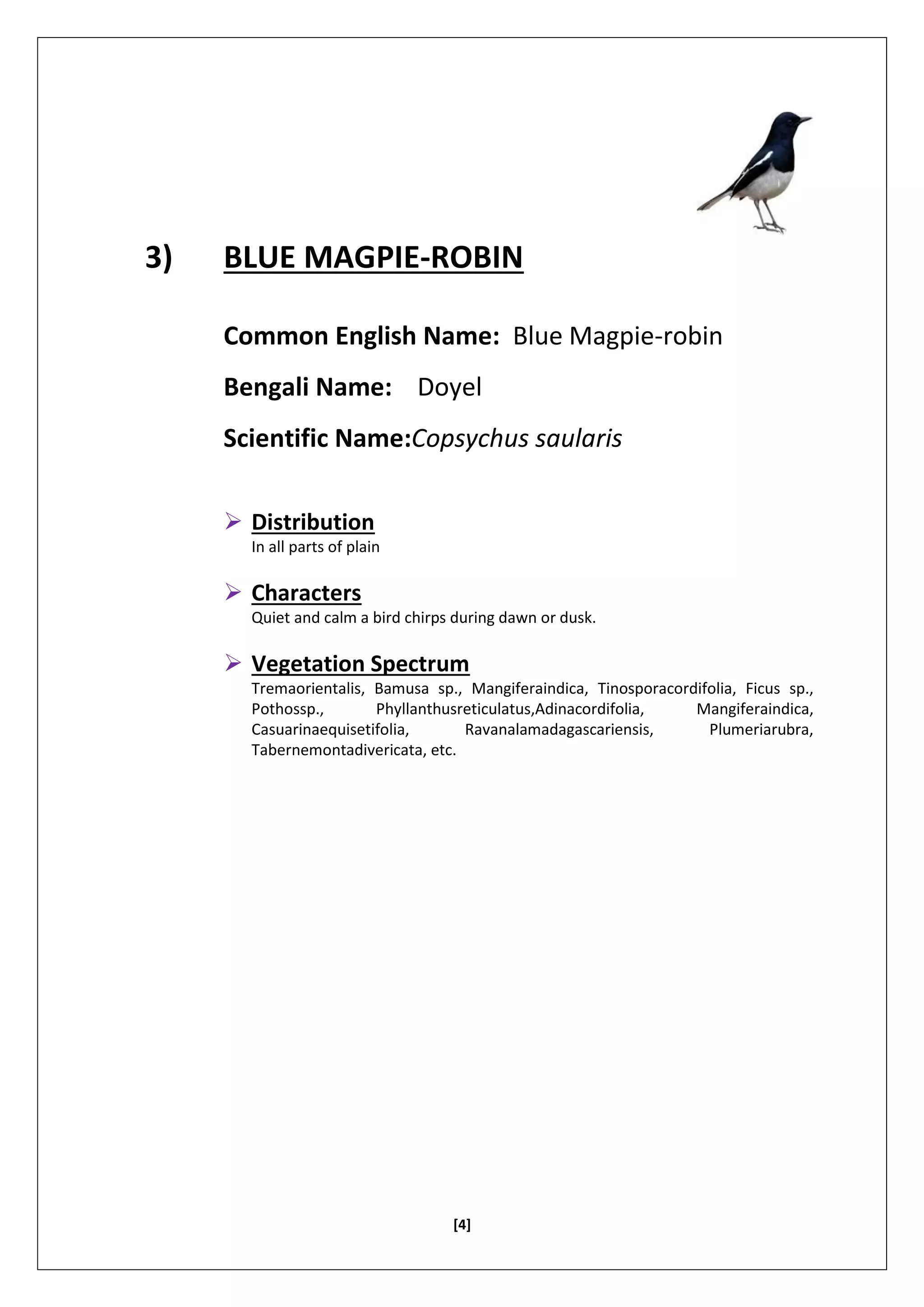 evs project on study of birds,insects and plants | PDF