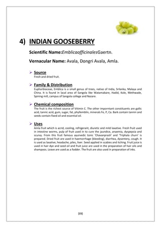 evs project on study of birds,insects and plants | PDF