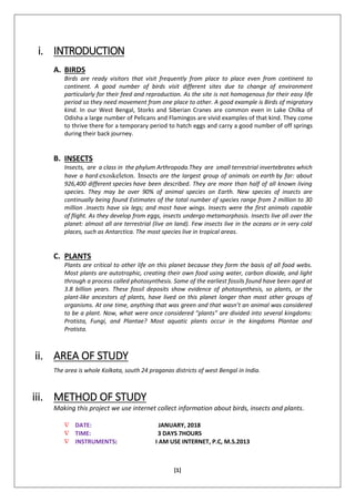 evs project on study of birds,insects and plants | PDF