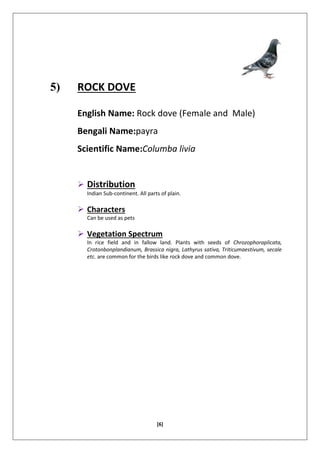 evs project on study of birds,insects and plants | PDF