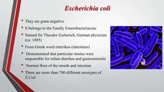 E. coli | PPTX