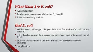 E. coli | PPTX