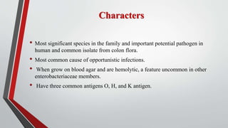 E. coli | PPTX