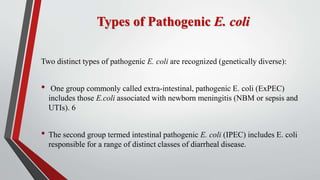 E. coli | PPTX