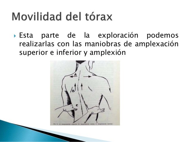 Lopez Carrasco Jean Carlo 7D