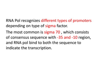 E.coli promoters | PPTX