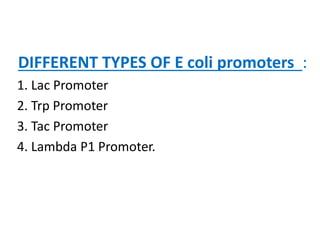 E.coli promoters | PPTX