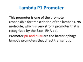 E.coli promoters | PPTX