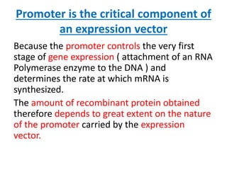 E.coli promoters | PPTX