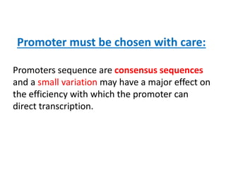 E.coli promoters | PPTX