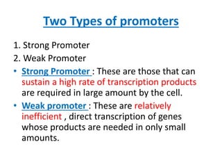 E.coli promoters | PPTX