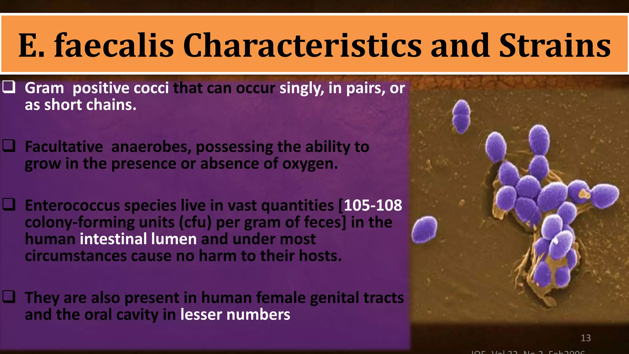 Enterococcus faecalis: Its Role in Root Canal Treatment Failure and ...