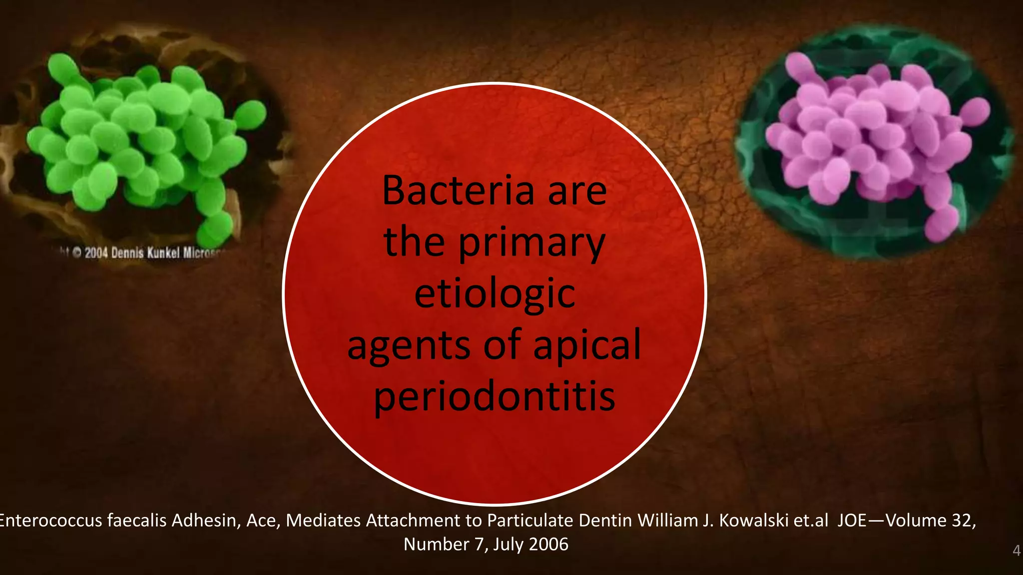 Enterococcus faecalis: Its Role in Root Canal Treatment Failure and ...