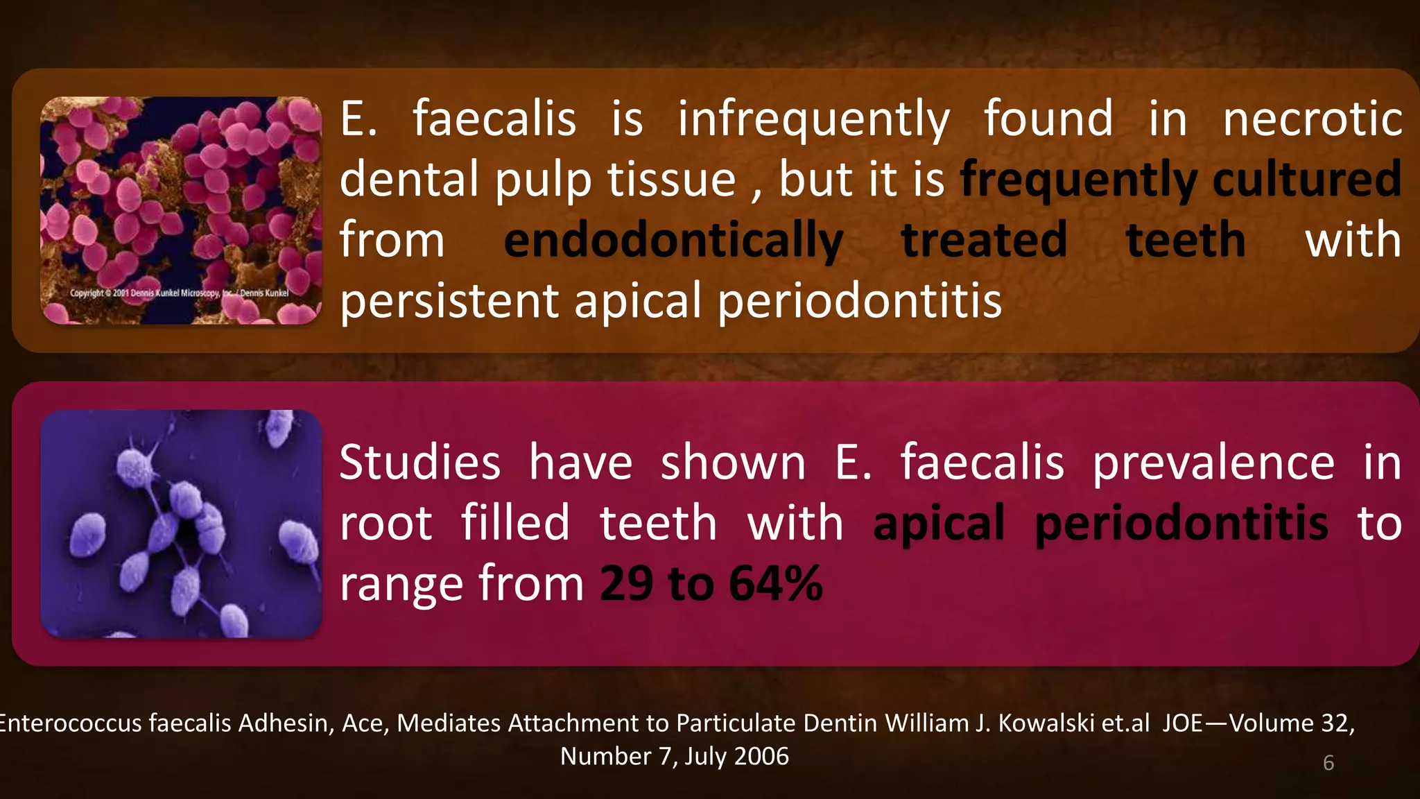 Enterococcus faecalis: Its Role in Root Canal Treatment Failure and ...