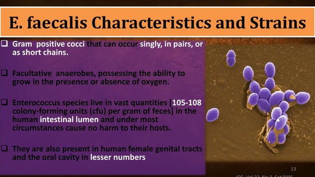 Enterococcus faecalis: Its Role in Root Canal Treatment Failure and ...