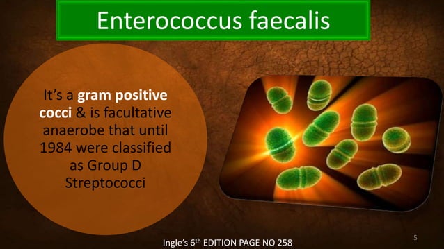 Enterococcus faecalis: Its Role in Root Canal Treatment Failure and ...