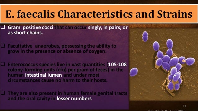 Enterococcus Faecalis Infection