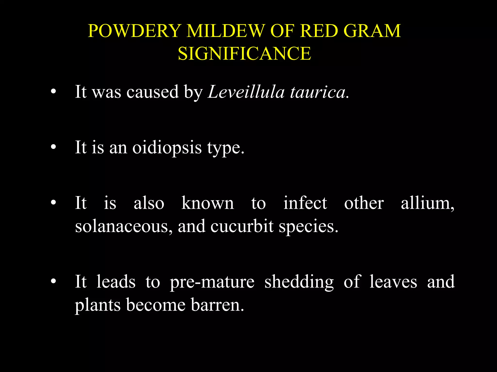 powdery mildew of red gram, black gram, green gram | PPTX