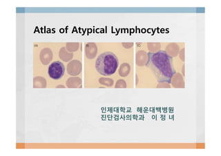 E-2. ÀÌÁ¤³à_Atlas of lymphocyte.pdf