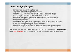E-2. ÀÌÁ¤³à_Atlas of lymphocyte.pdf