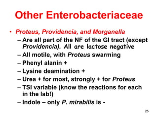 E.coli and others dr .ihsan alsaimary | PPT