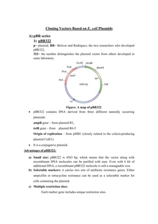 E. coli plasmids based vectors | PDF