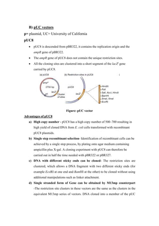 E. coli plasmids based vectors | PDF