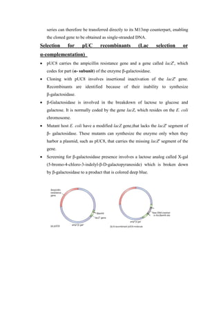 E. coli plasmids based vectors | PDF