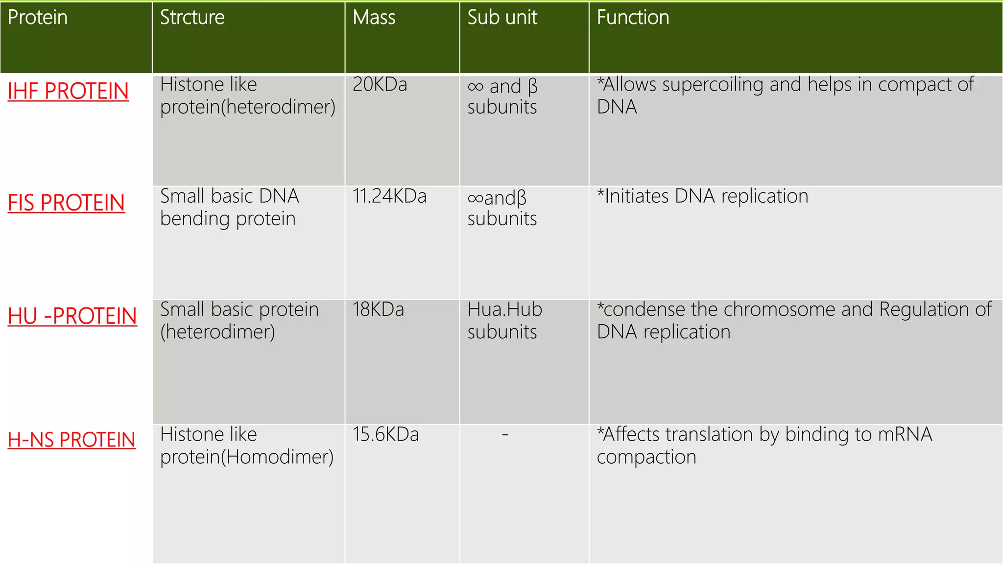 E.coli and m.genitalium genome copy | PPTX