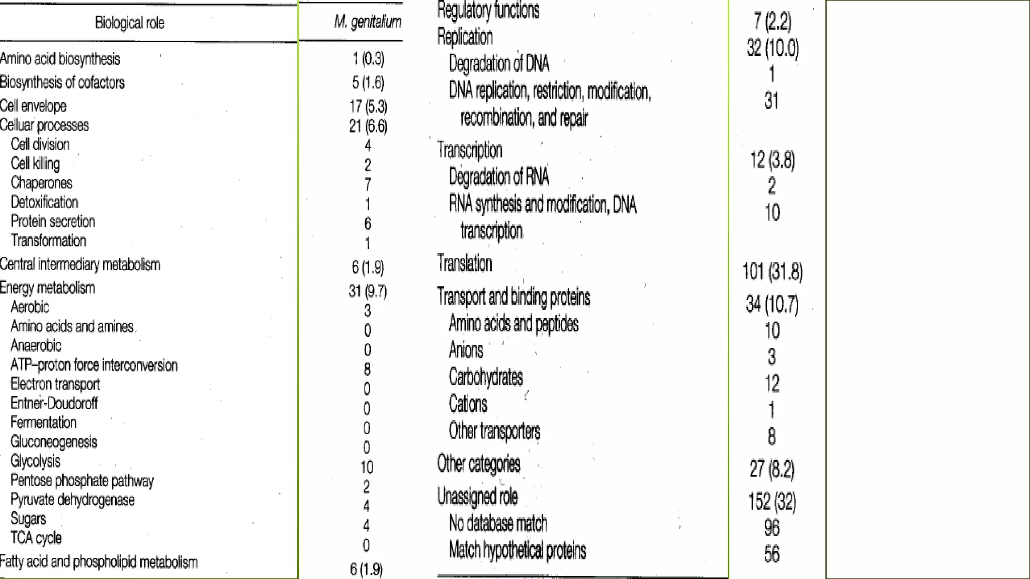 E.coli and m.genitalium genome copy | PPTX