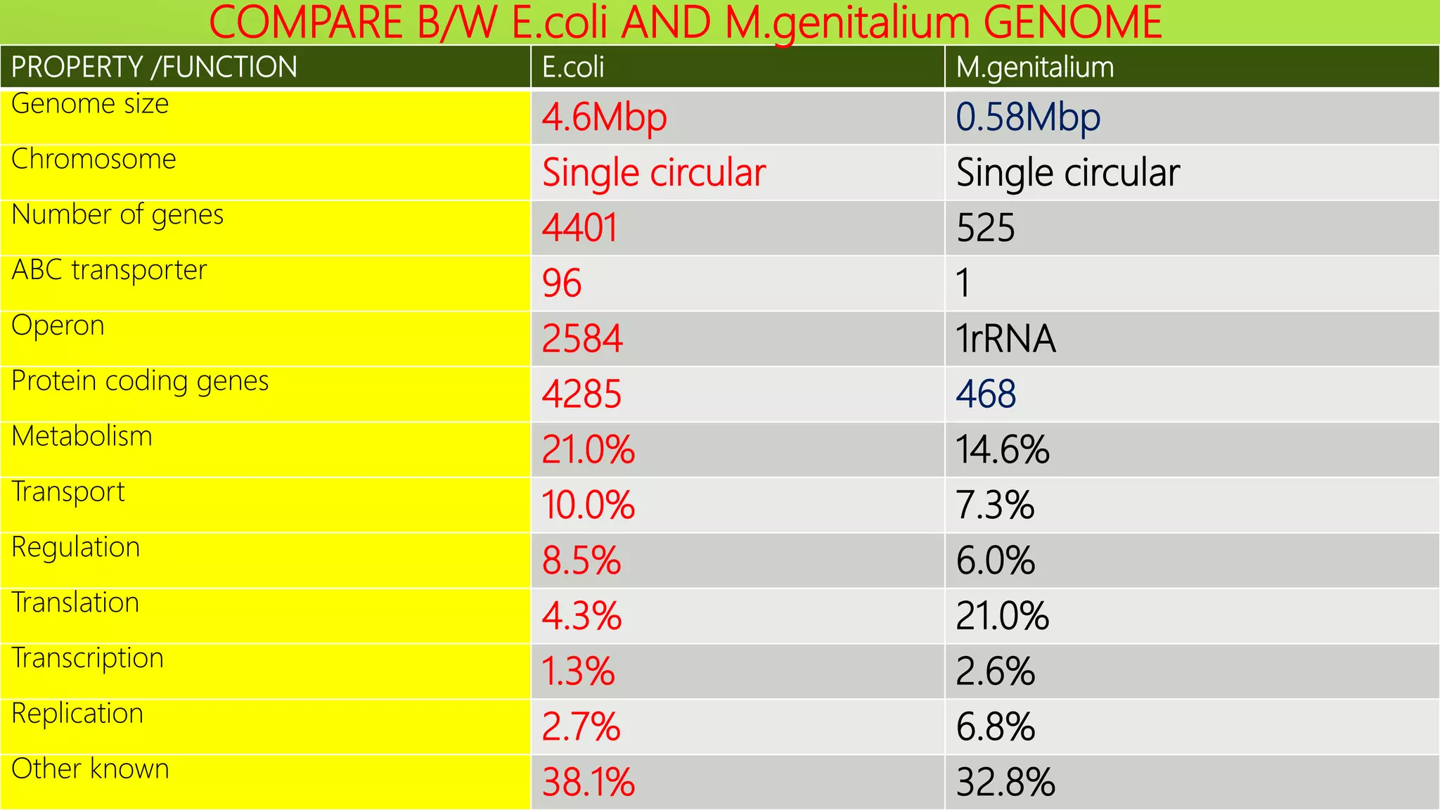 E.coli and m.genitalium genome copy | PPTX