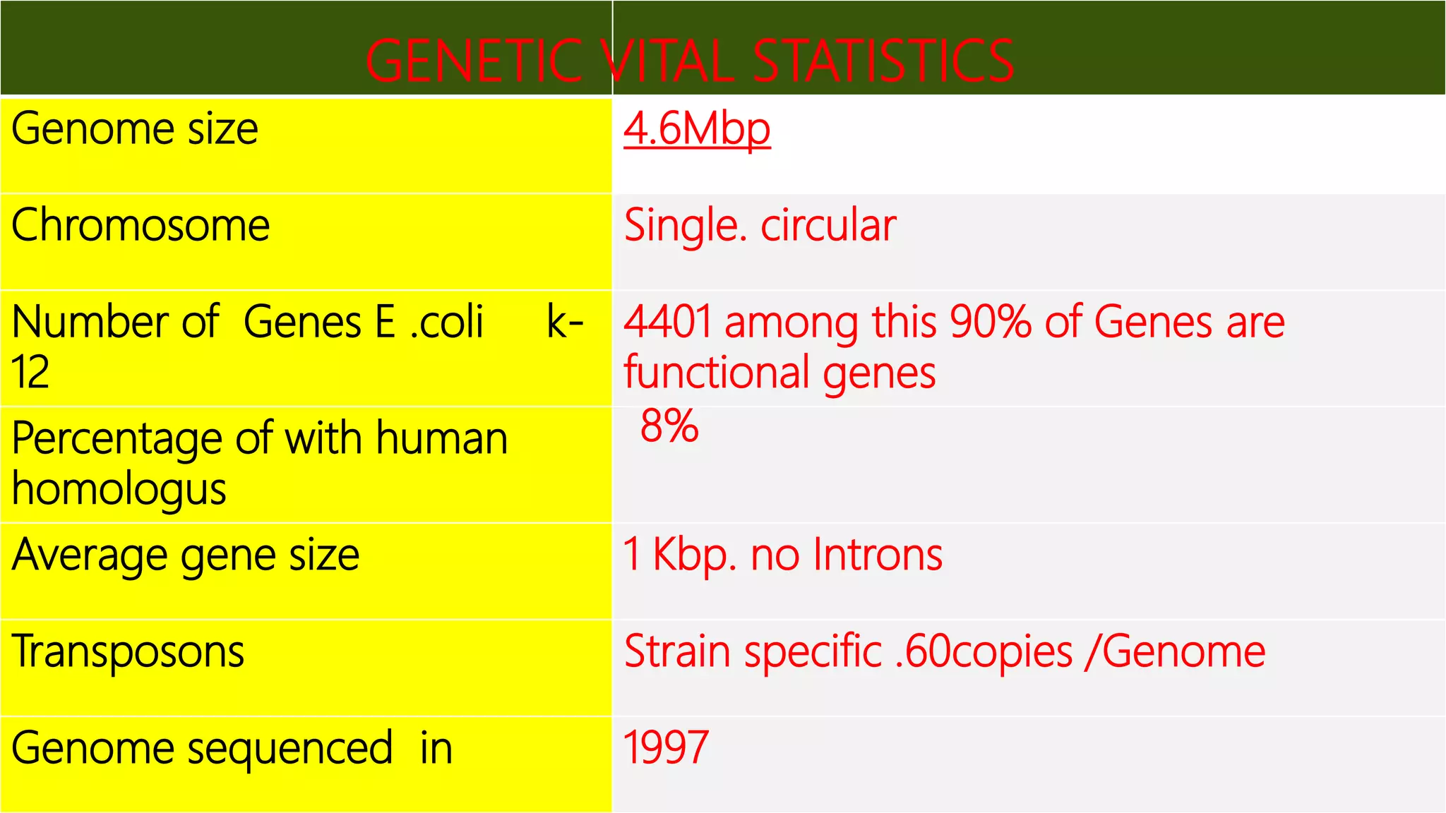 E.coli and m.genitalium genome copy | PPTX