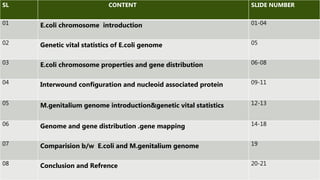 E.coli and m.genitalium genome copy | PPTX