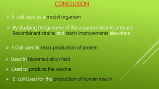 E.coli and m.genitalium genome copy | PPTX