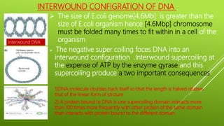 E.coli and m.genitalium genome copy | PPTX