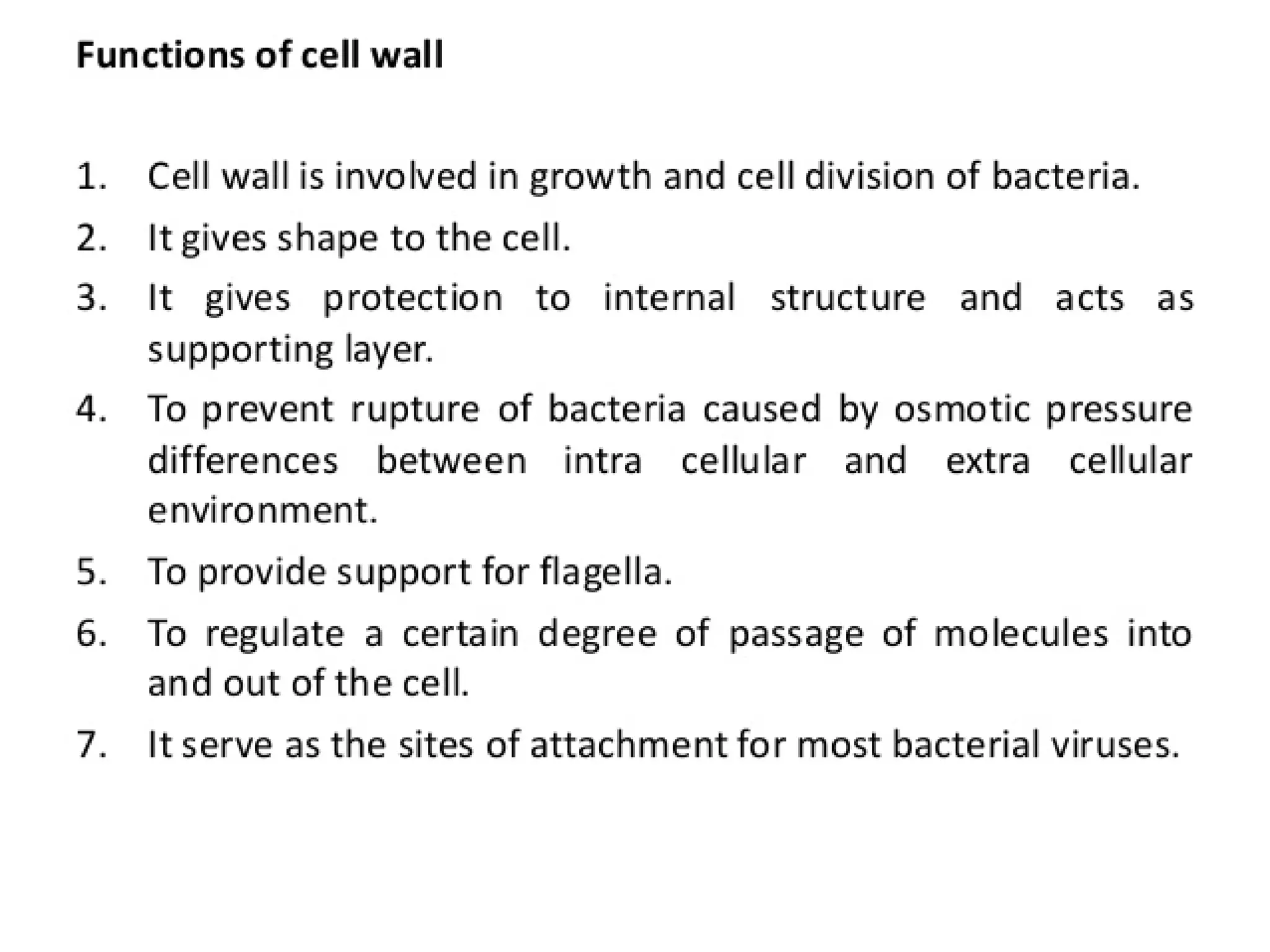 E.coli structure | PDF