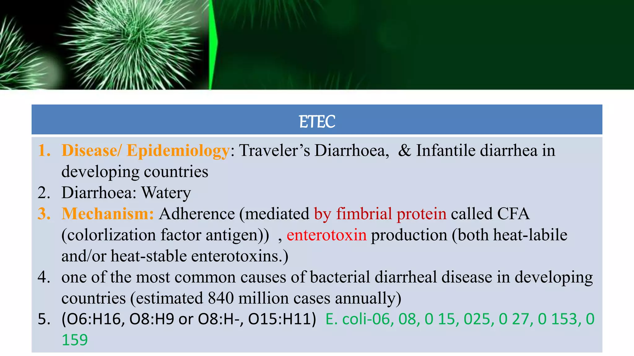 E. coli | PPTX