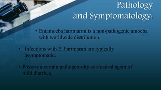 E. Histolytica and Hartmanni.pptx