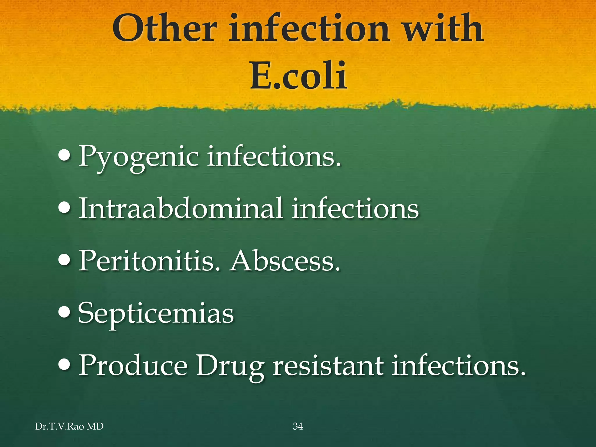 E.coli.pptx