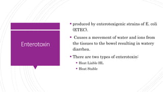 E.coli.pptx
