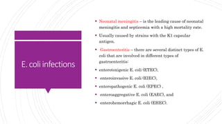 E.coli.pptx