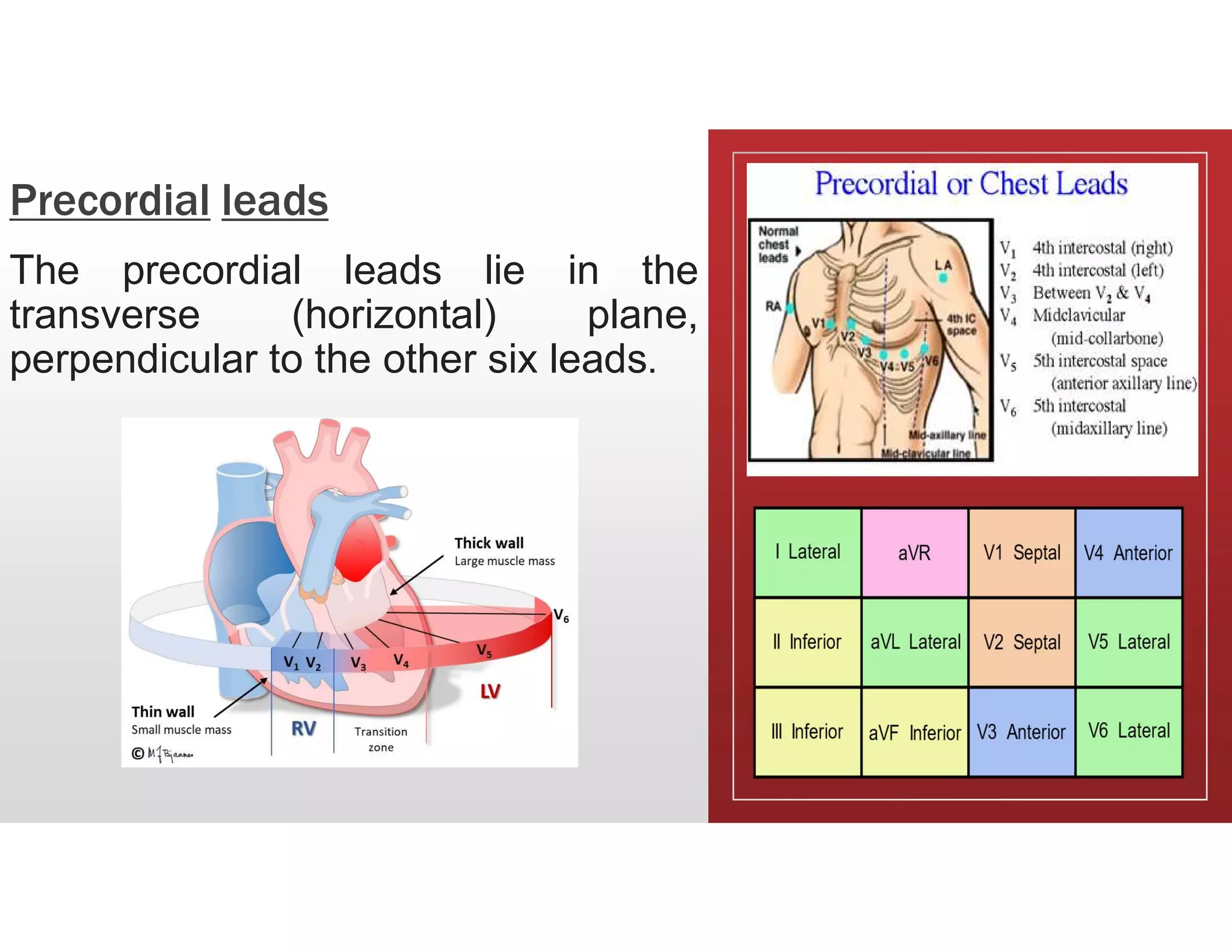 E.C.G. UNDERSTANDING AND INTERPRETATION | PDF