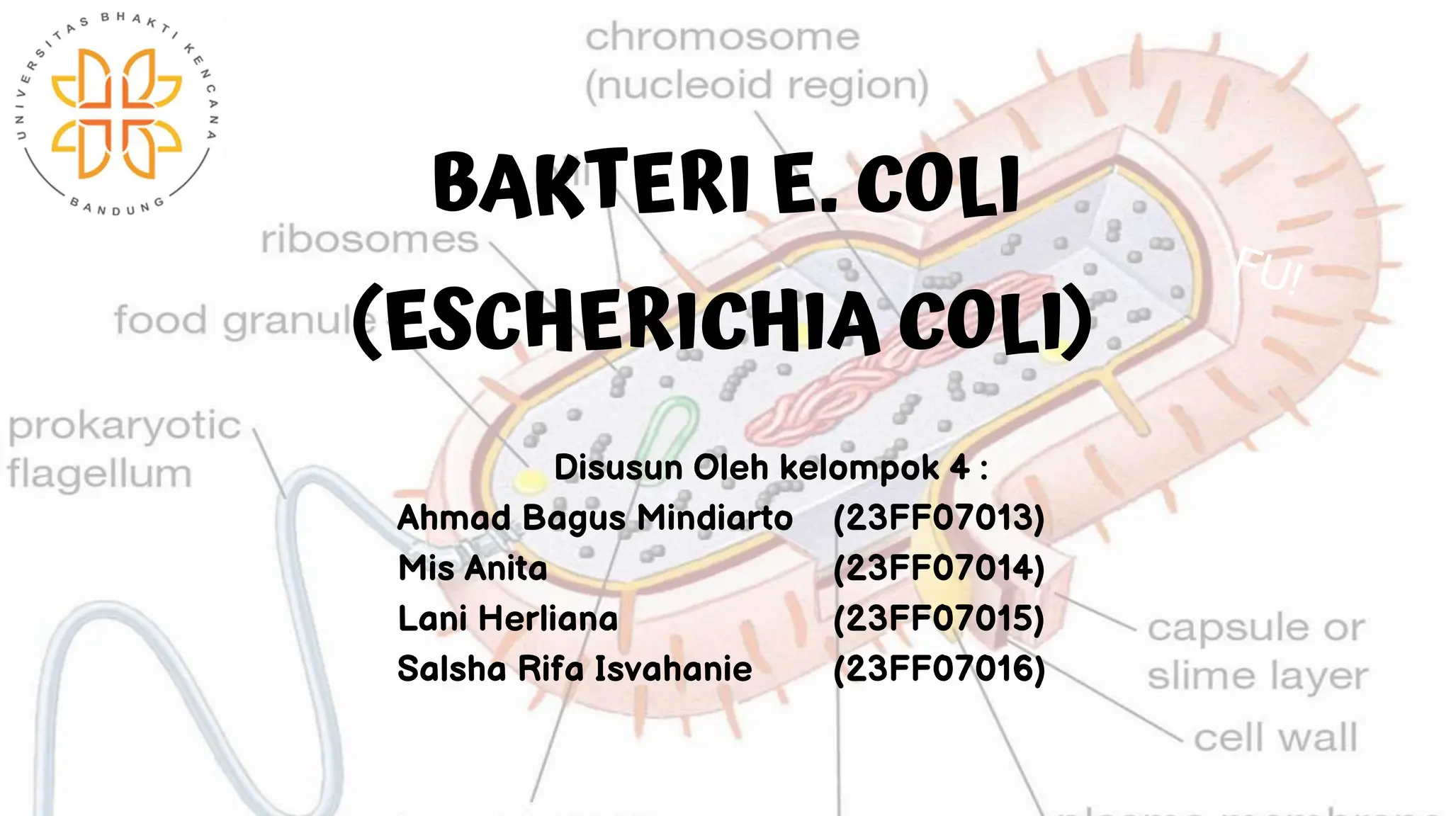 bakteri e. coli escherichia coli dengan Gastroesophageal reflux disease | PPTX