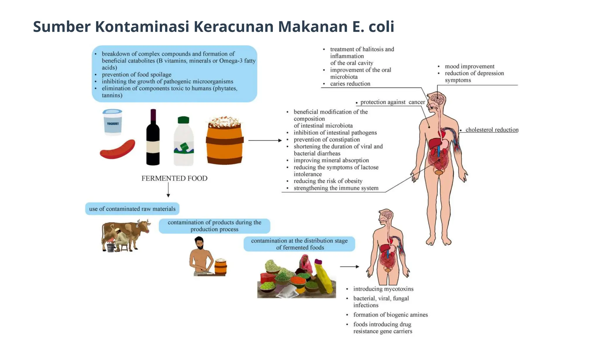 bakteri e. coli escherichia coli dengan Gastroesophageal reflux disease | PPTX