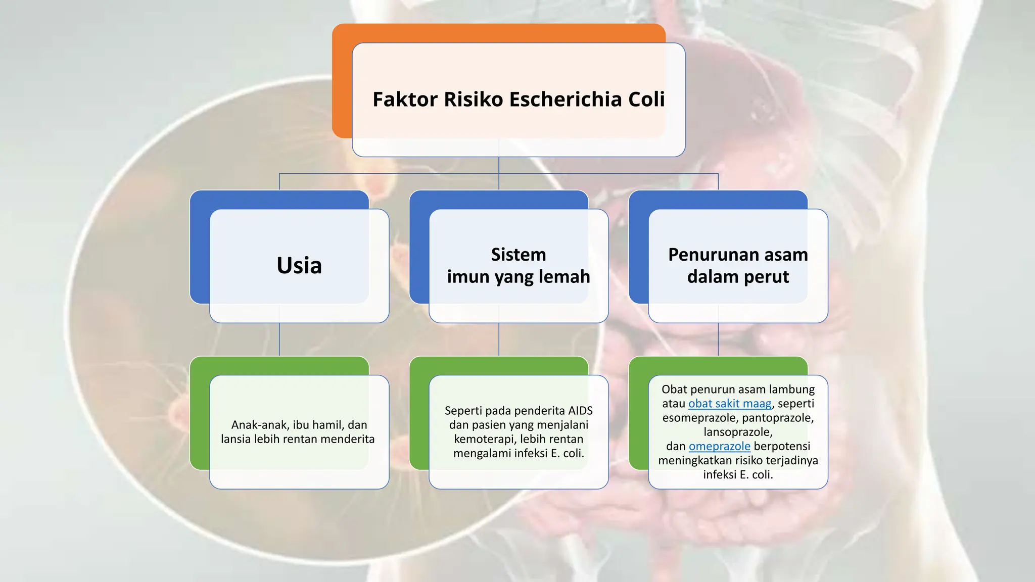 bakteri e. coli escherichia coli dengan Gastroesophageal reflux disease ...