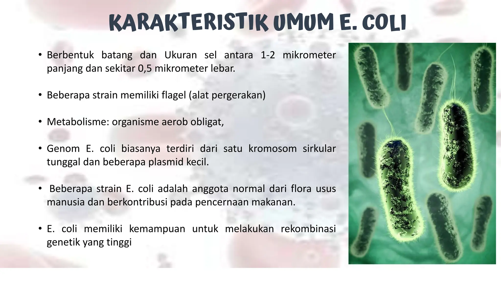 bakteri e. coli escherichia coli dengan Gastroesophageal reflux disease ...