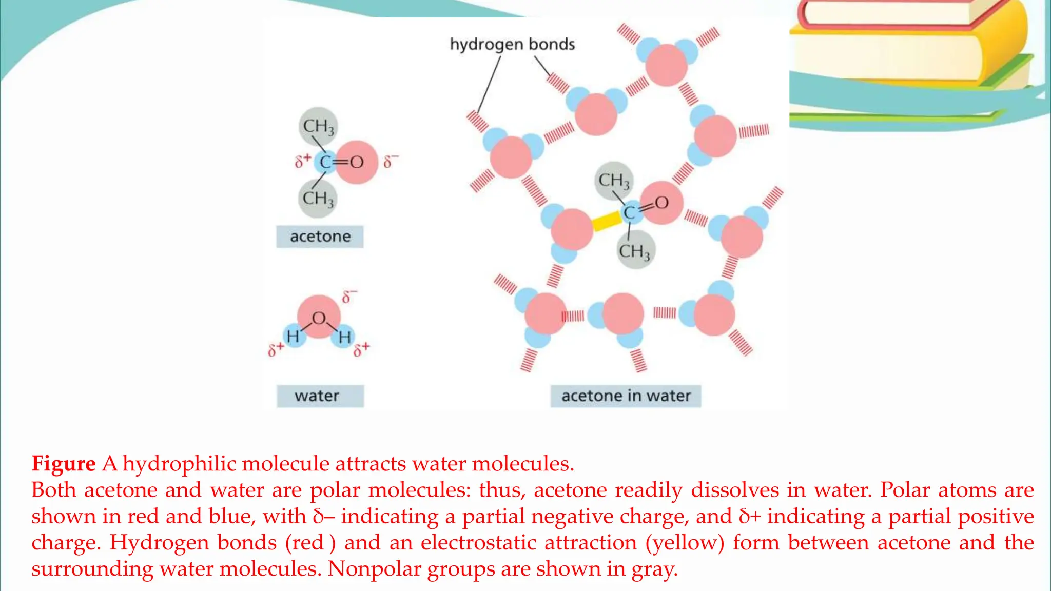 Movement of Molecules across Cell Membranes.pptx