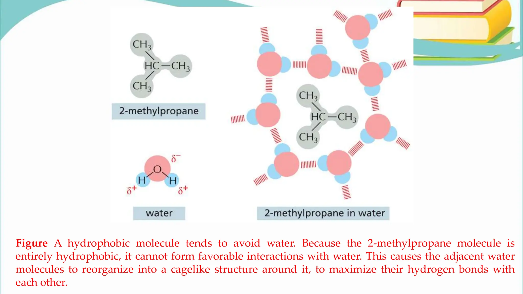Movement of Molecules across Cell Membranes.pptx